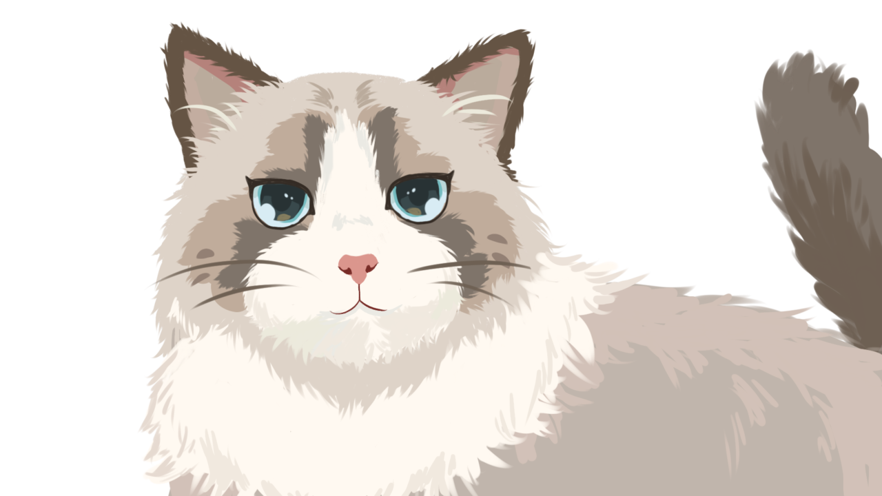 TCMVET Baituxiao | Traditional Herbal Blend for Pet Wellness & Soft ...