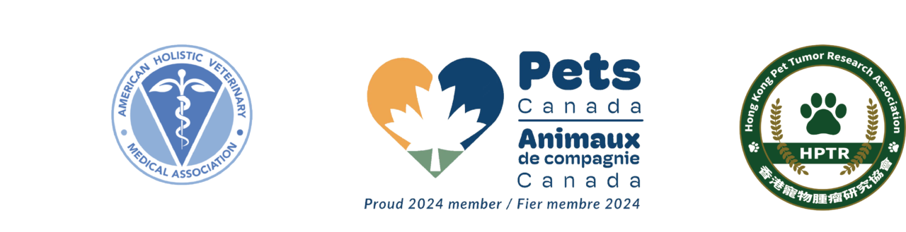 high-risk breeds Archives - TCMVET