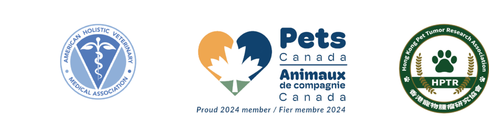 Treeing Walker Coonhound cancer risk Archives - TCMVET