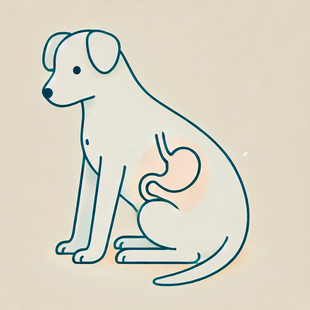 Understanding Splenic Tumors in Dogs: Survival Rates, Treatment Options ...